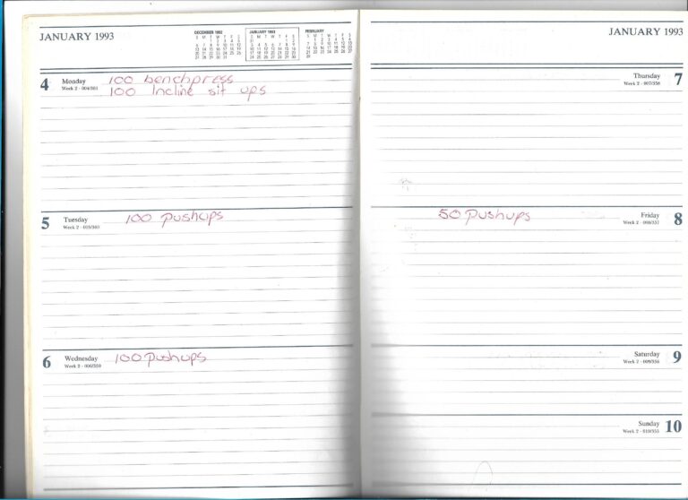 Diary Of A Mad Chaos: History Of The Diary